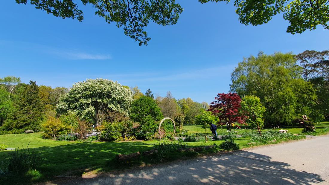 Treborth Botanic Garden celebrates international accreditation success ...