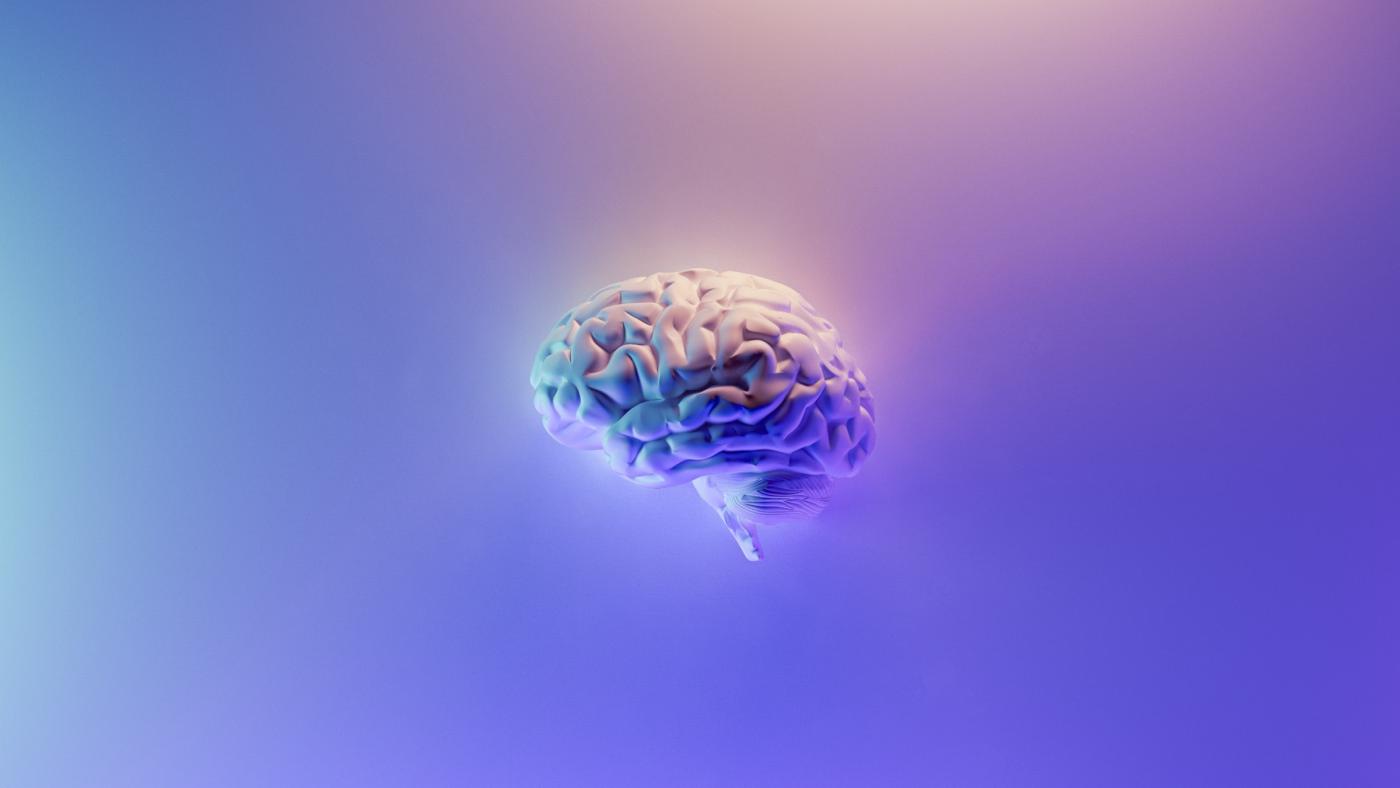 Reverse Engineering the Brain and Mind | Bangor University