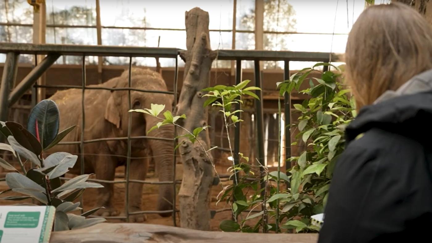 Zoology with Animal Management Students begin Chester Zoo experience ...