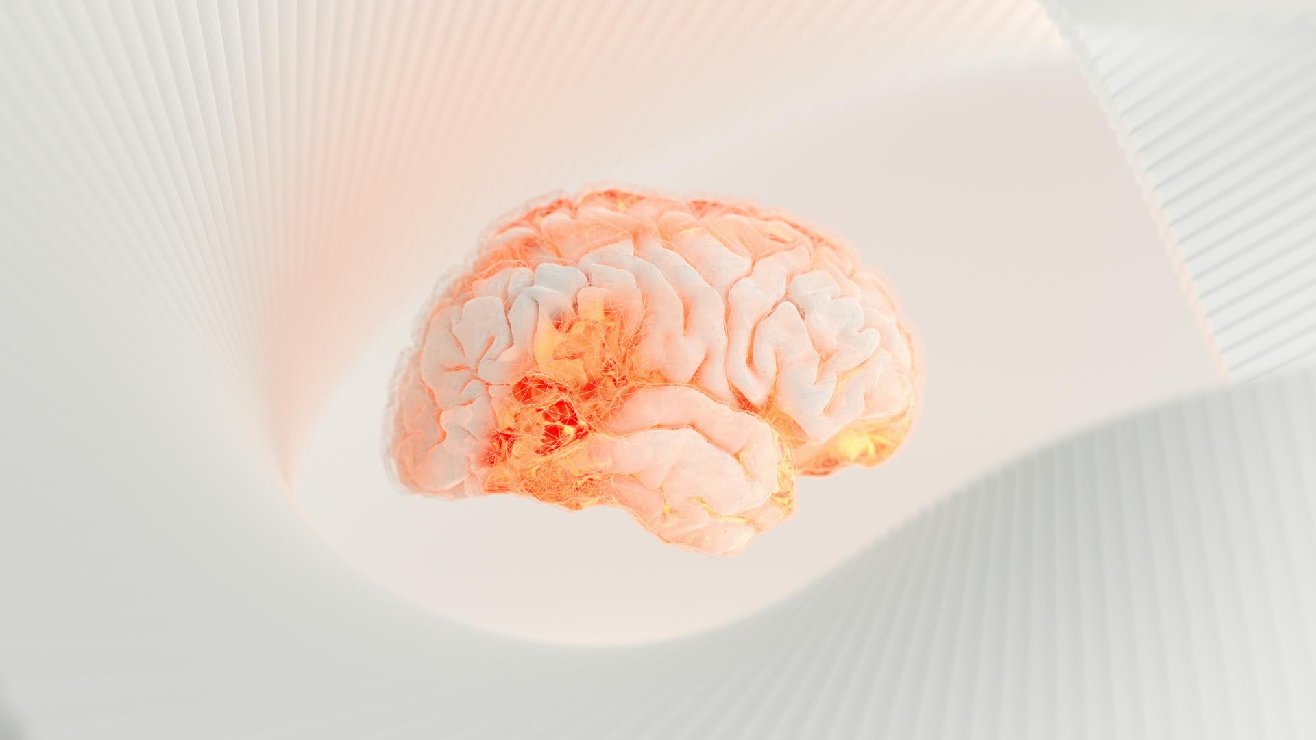 Recreational Drugs and the Brain | Bangor University