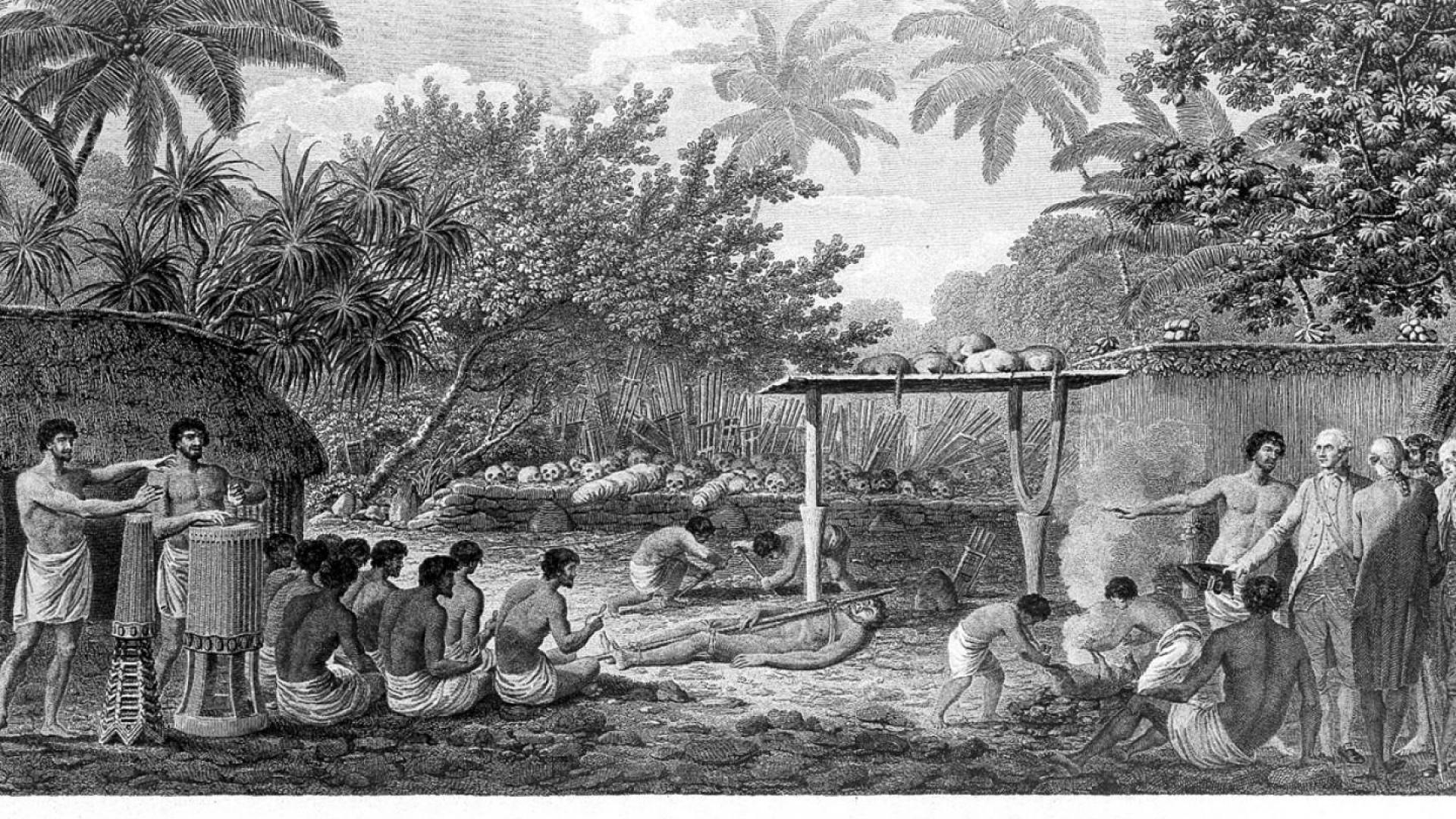 Law of the Jungle: Cannibalism, Ethics and Justice | Bangor University