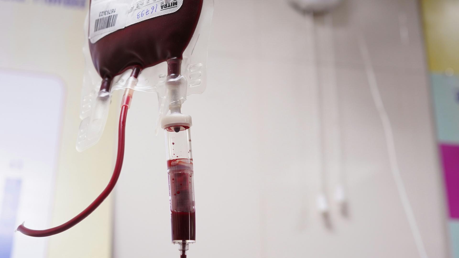 Independent Authorisation Of Blood Component Transfusion | Bangor ...