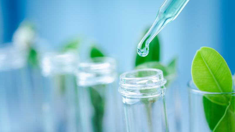 Biology | Bangor University