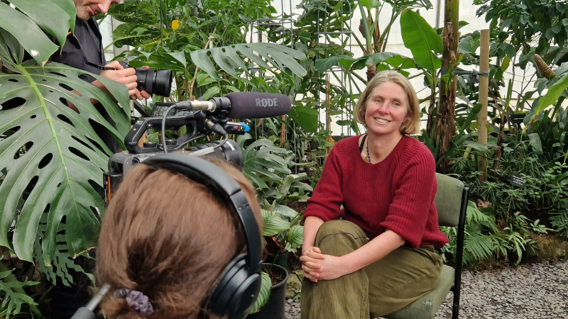 Professor Julia Jones shares her expertise on BBC Panorama ...