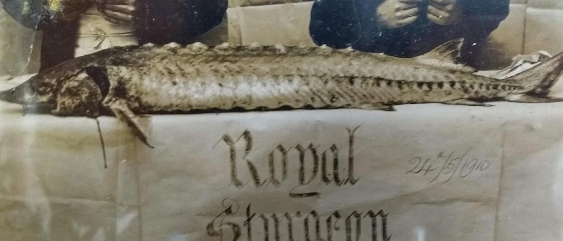 We gathered centuries-old written records to show the seas around Wales ...