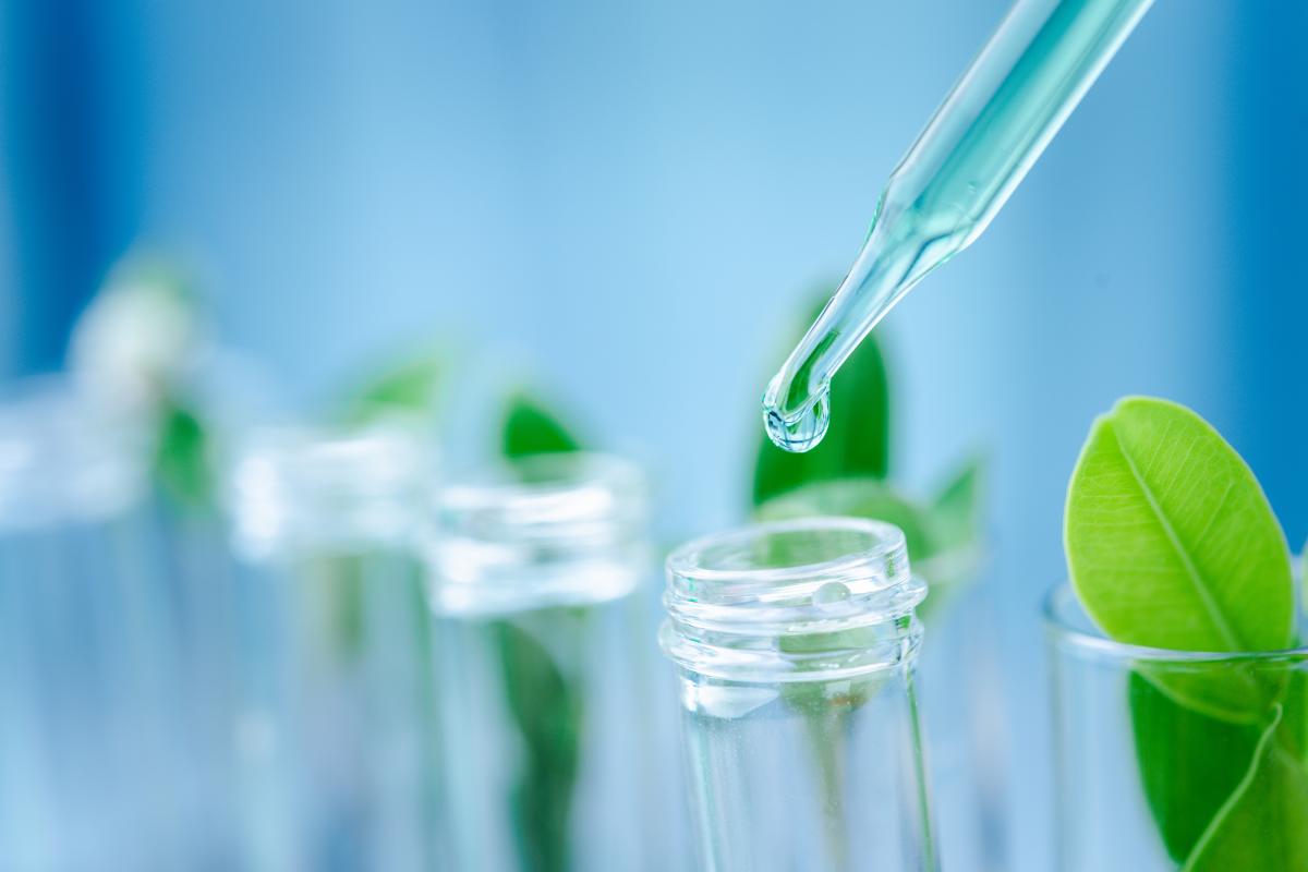 Study Biology at Bangor University