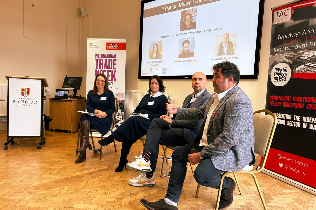 Bangor University’s Head of Arts, Culture and Language leads call to ...