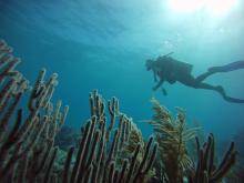 Study Ocean Sciences at Bangor University