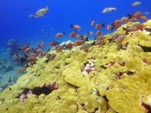 First comprehensive assessment of climate change impacts on coasts and ...